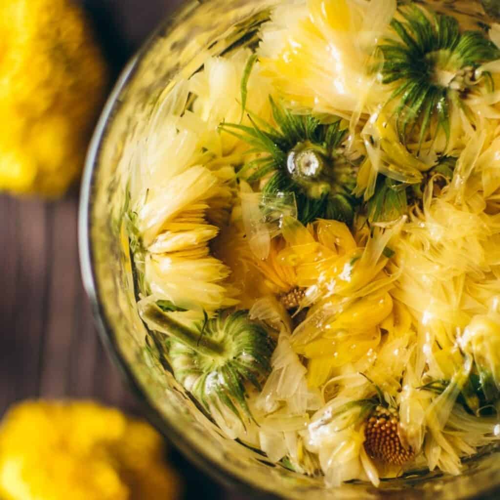 How to Make Calendula Tea • Schisandra & Bergamot