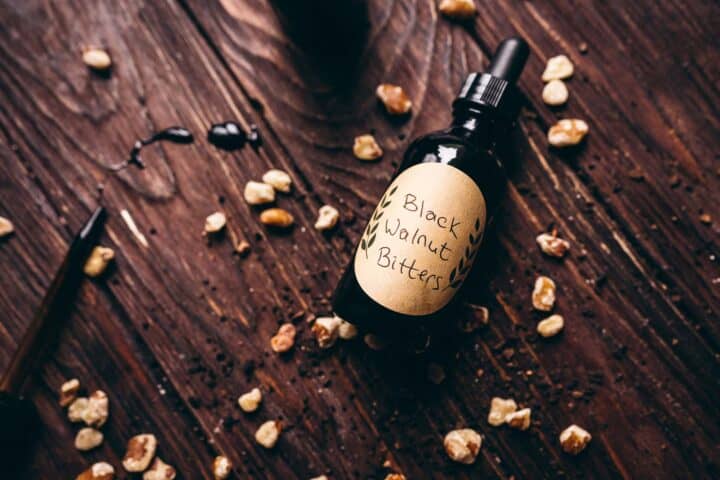 Easy Black Walnut Bitters Recipe (Digestive and Cocktail)