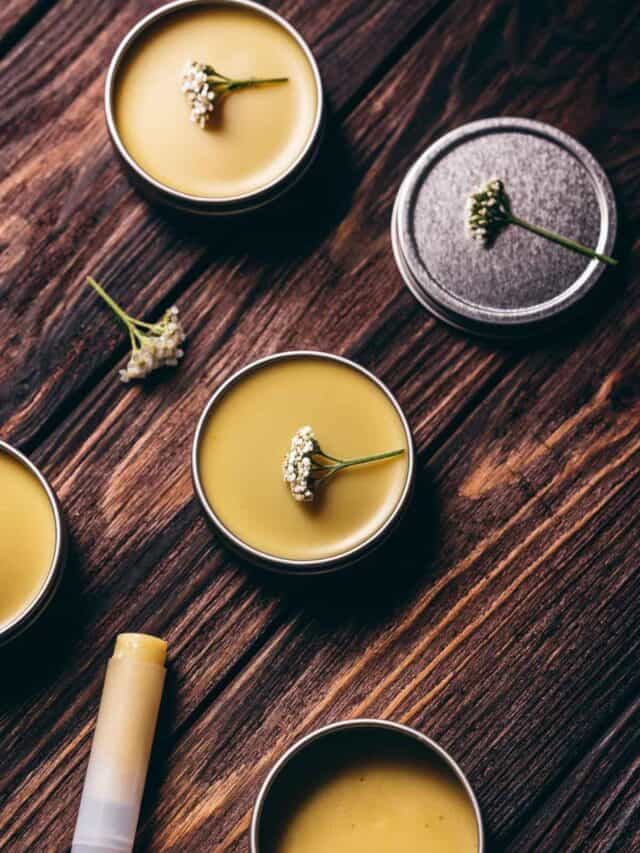 How to Make Healing Yarrow Salve (Easy DIY) • Schisandra & Bergamot