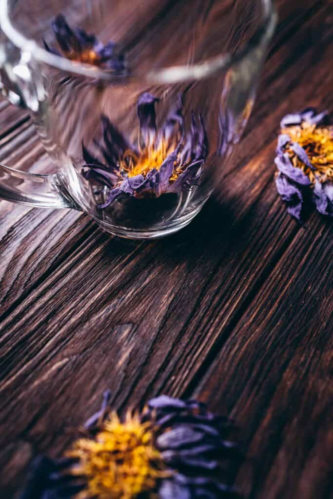How to Make Blue Lotus Tea • Schisandra & Bergamot