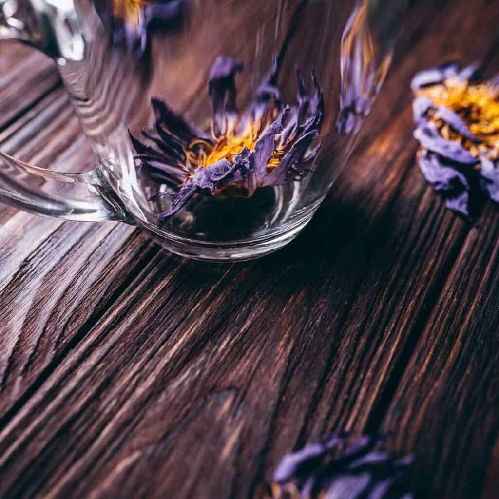 Magical Blue Lotus Flower • Schisandra & Bergamot