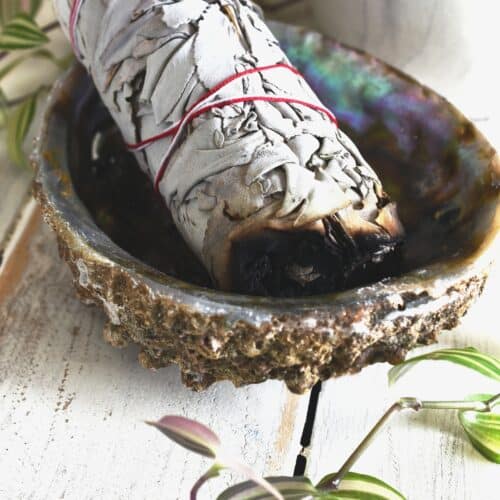 9 Different Types of Sage for Smudging • Schisandra & Bergamot