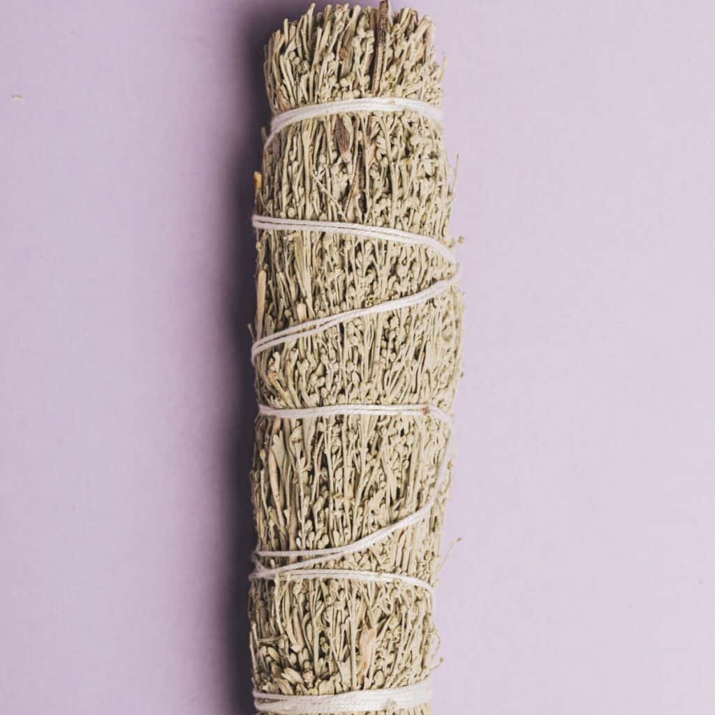 9 Different Types of Sage for Smudging • Schisandra & Bergamot