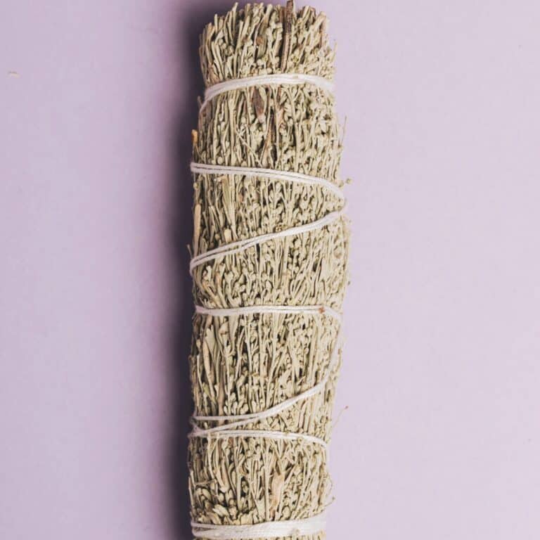 9 Different Types of Sage for Smudging • Schisandra & Bergamot