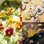 60+ Beautiful and Delicious Edible Flower Recipes • Schisandra & Bergamot