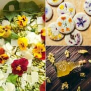 60+ Beautiful and Delicious Edible Flower Recipes • Schisandra & Bergamot