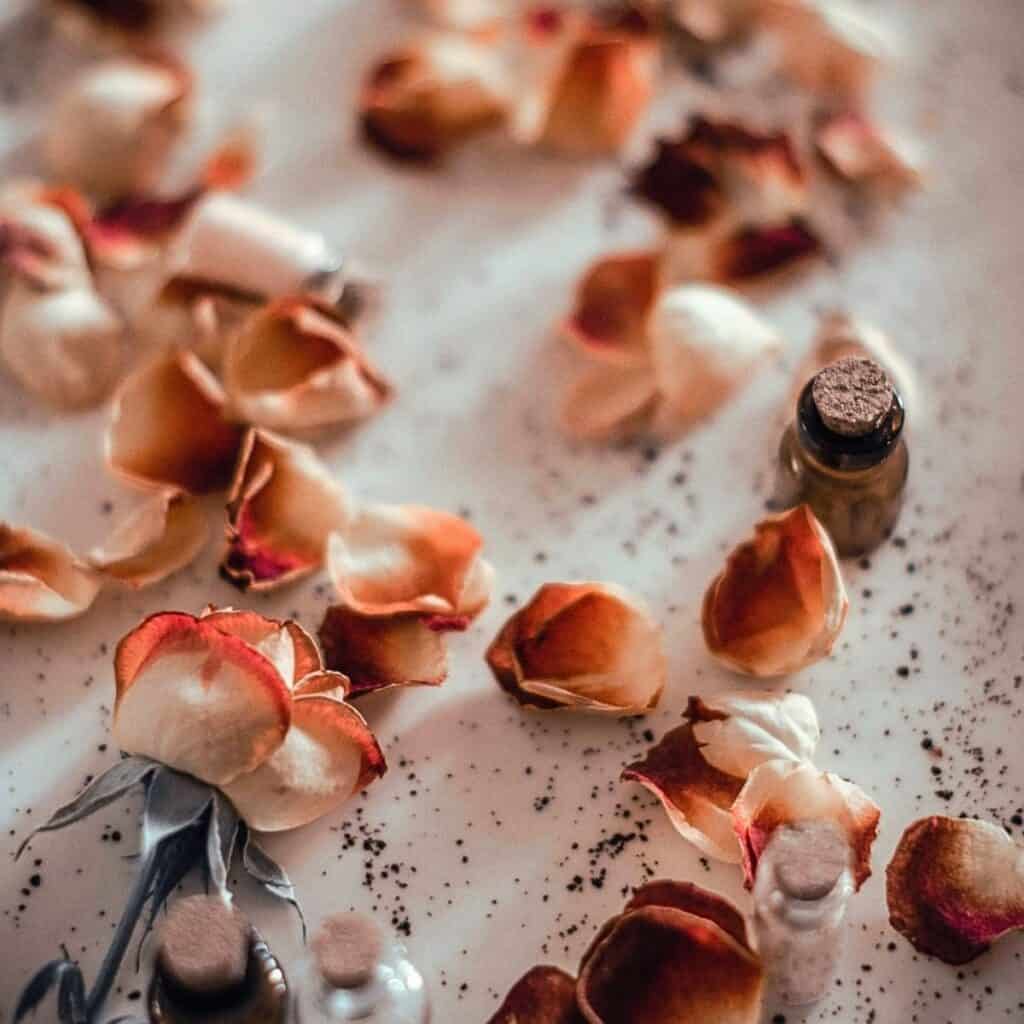 What Is Madder Root? Lore and How to Use It as a Natural Dye