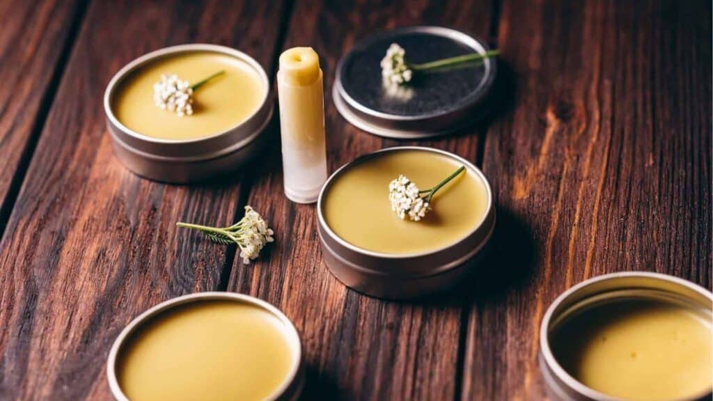 11 Must-Try Salve Recipes for Soothing Skin • Schisandra & Bergamot