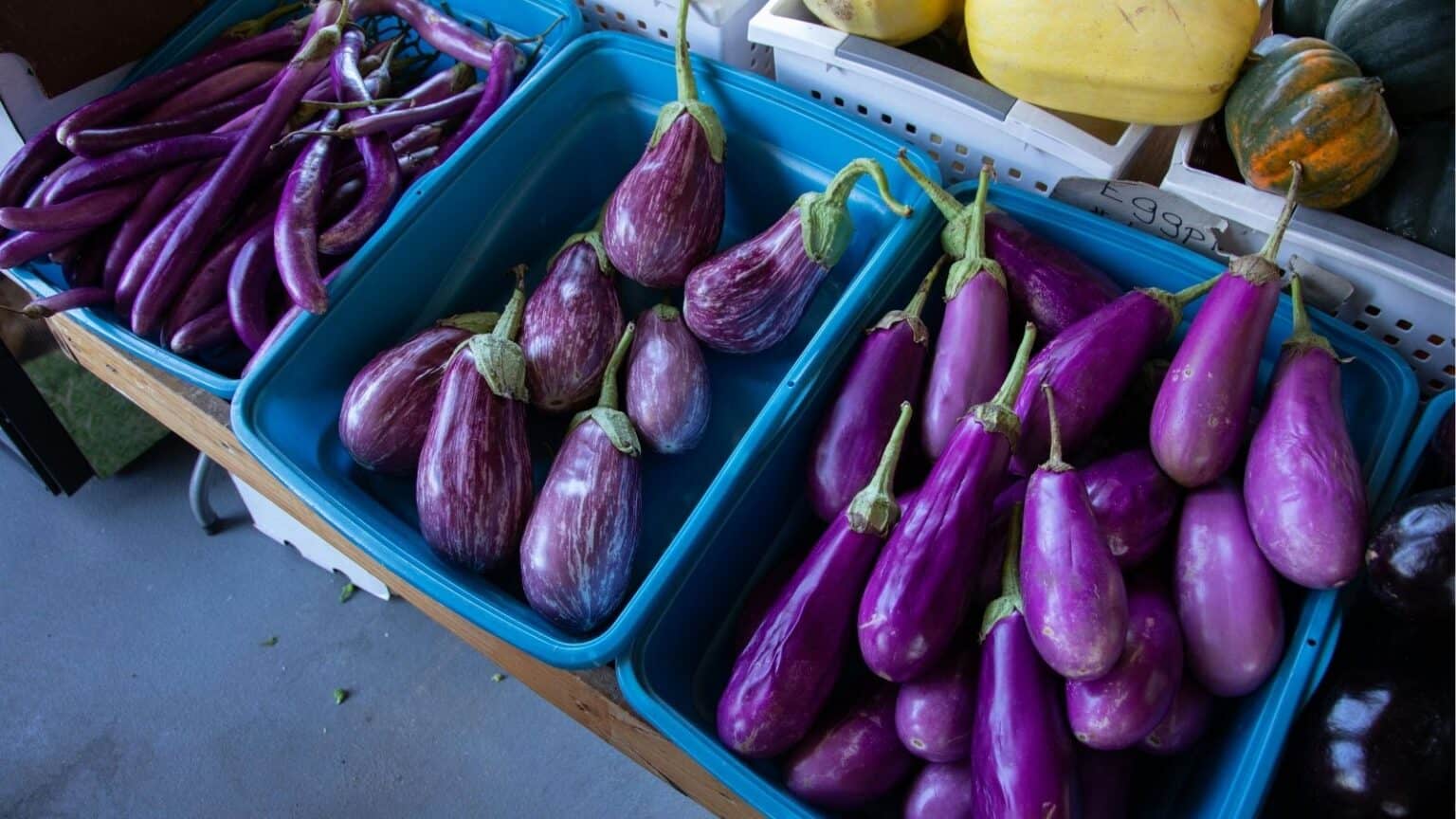 9 Vegetables That Taste Better When Grown in Your Own Garden ...