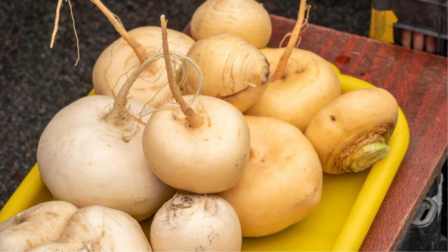 15 root vegetables you can still grow or store through winter ...