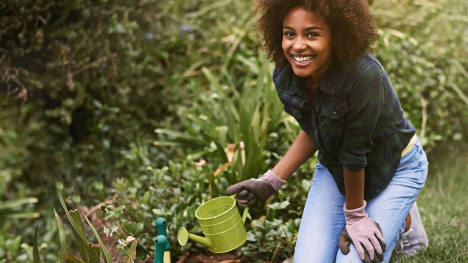 15 Useful Plants You’ll Want in Your Garden Right Now • Schisandra ...