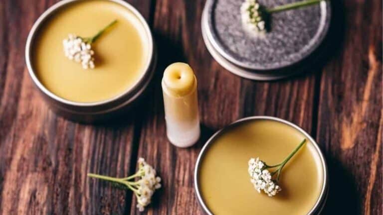 15 easy salves and balms to mix at home • Schisandra & Bergamot