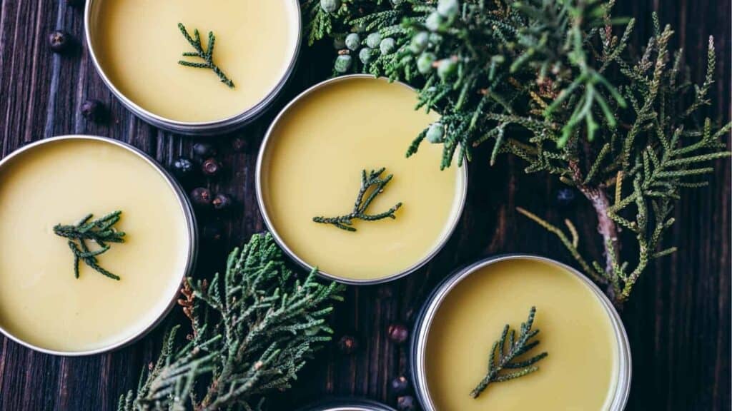 15 easy salves and balms to mix at home • Schisandra & Bergamot