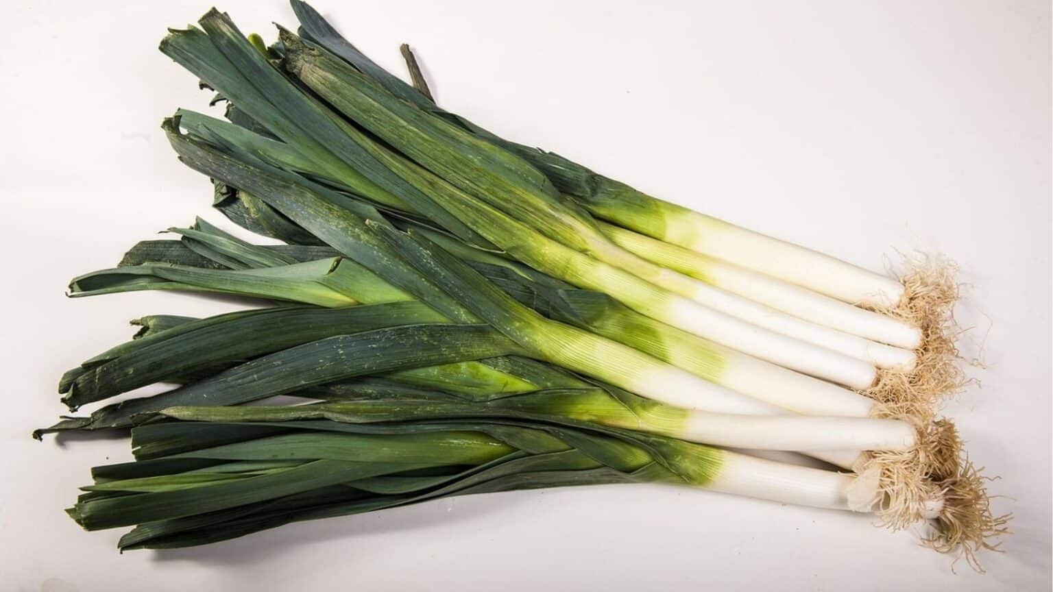 11 High-Yield Vegetables That Cut Grocery Costs • Schisandra & Bergamot