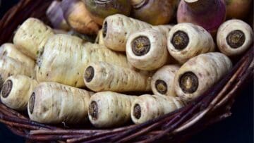 13 Vegetables That Love Rainy Climates • Schisandra & Bergamot
