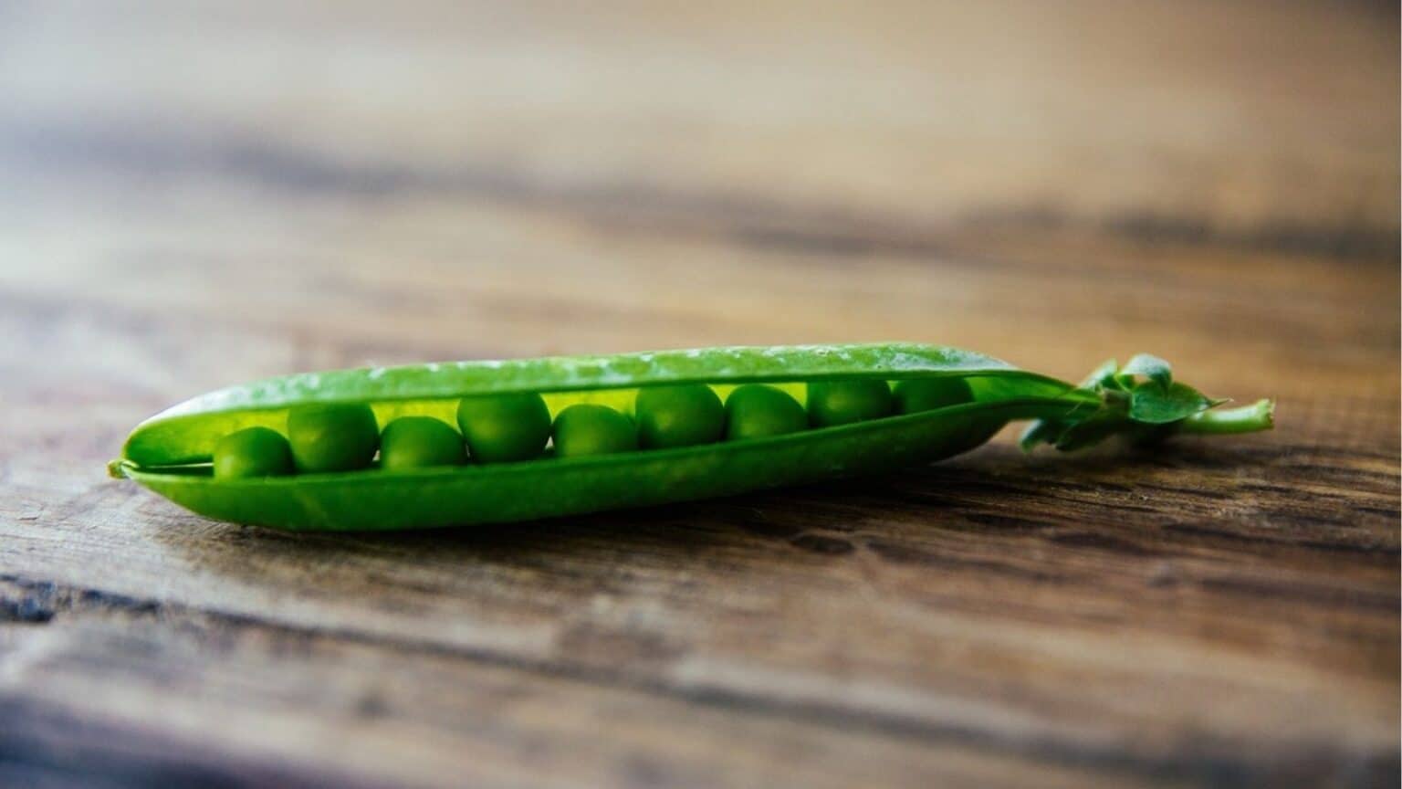 11 High-Yield Vegetables That Cut Grocery Costs • Schisandra & Bergamot