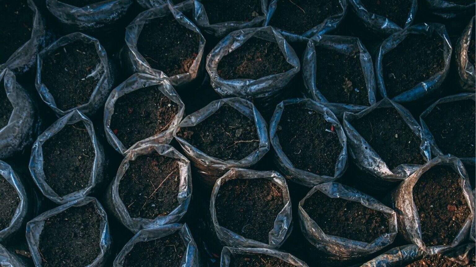 15 simple raised-bed soil tips that make your plants flourish ...