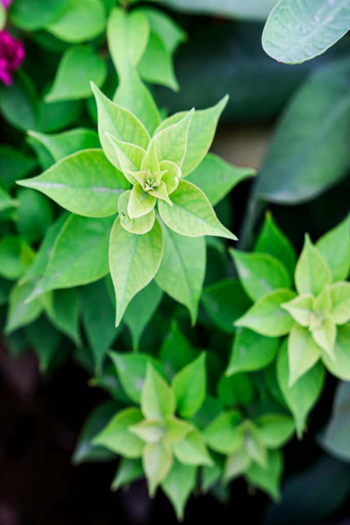 What Are Natural Colors? A Guide to Earth’s Most Beautiful Hues