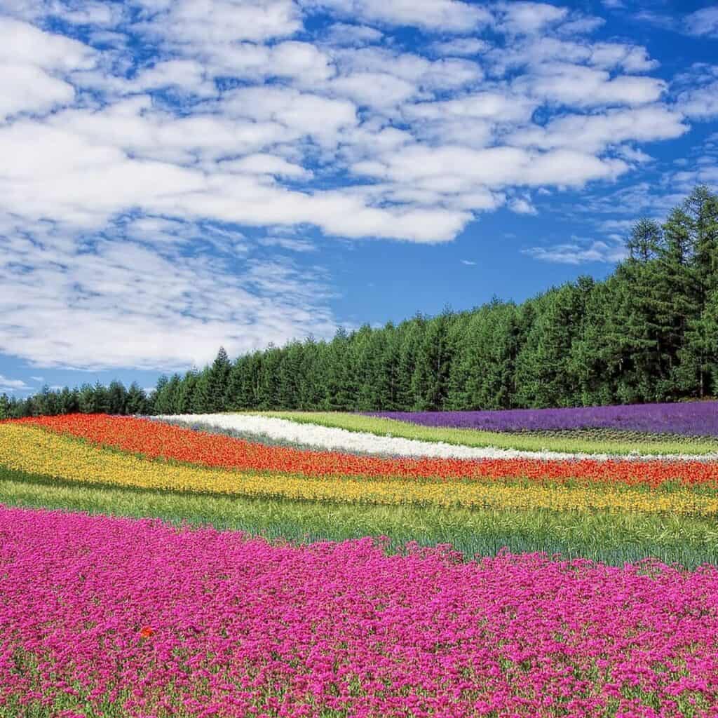 What Are Natural Colors? A Guide to Earth’s Most Beautiful Hues