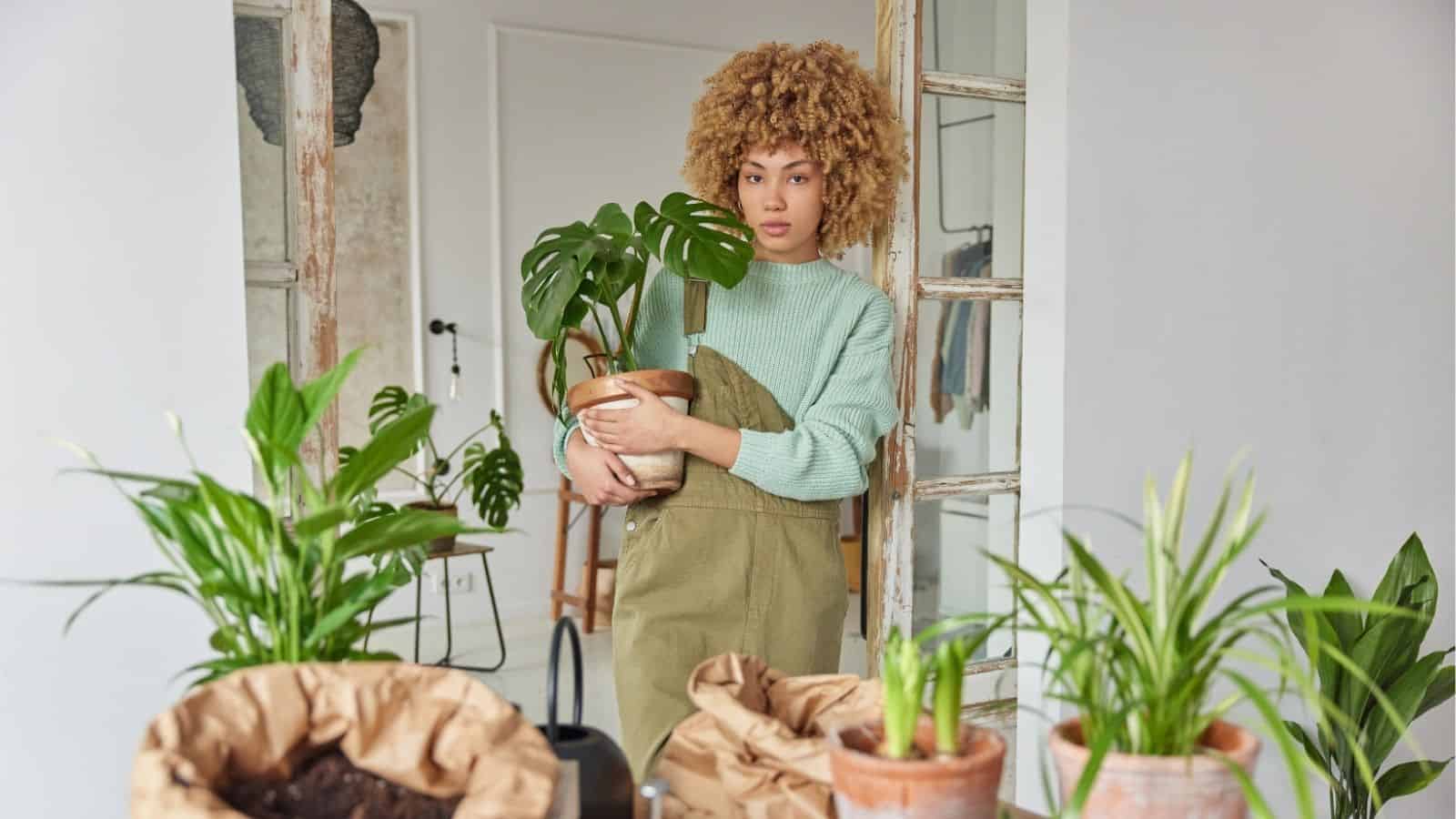 13 Amazing Houseplants That Will Survive Anything • Schisandra & Bergamot