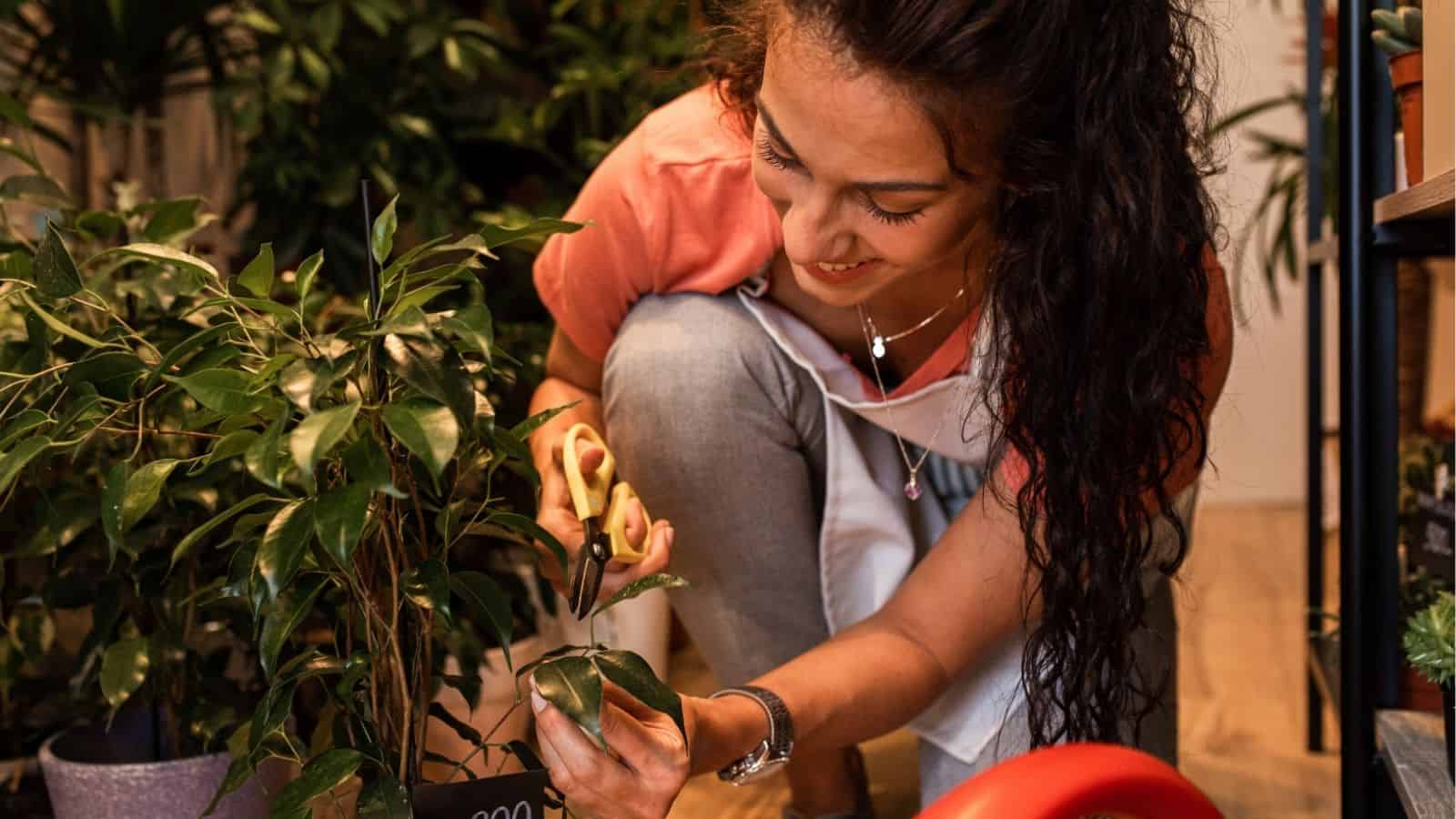 11 Signs Your Plants Are Begging for Help • Schisandra & Bergamot