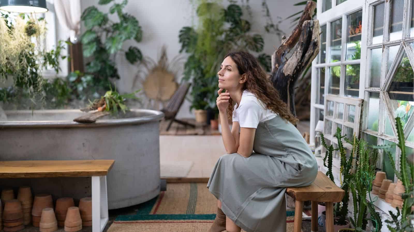11 Soothing Plants That Turn Your Home Into a Sanctuary • Schisandra ...