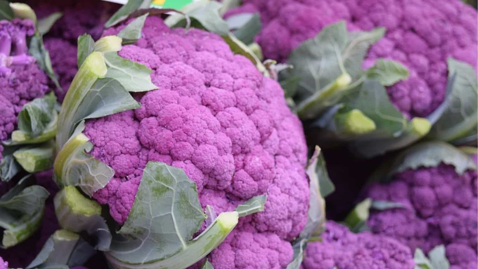 11 Unusual Veggies That Deserve a Spot in Your Garden • Schisandra ...