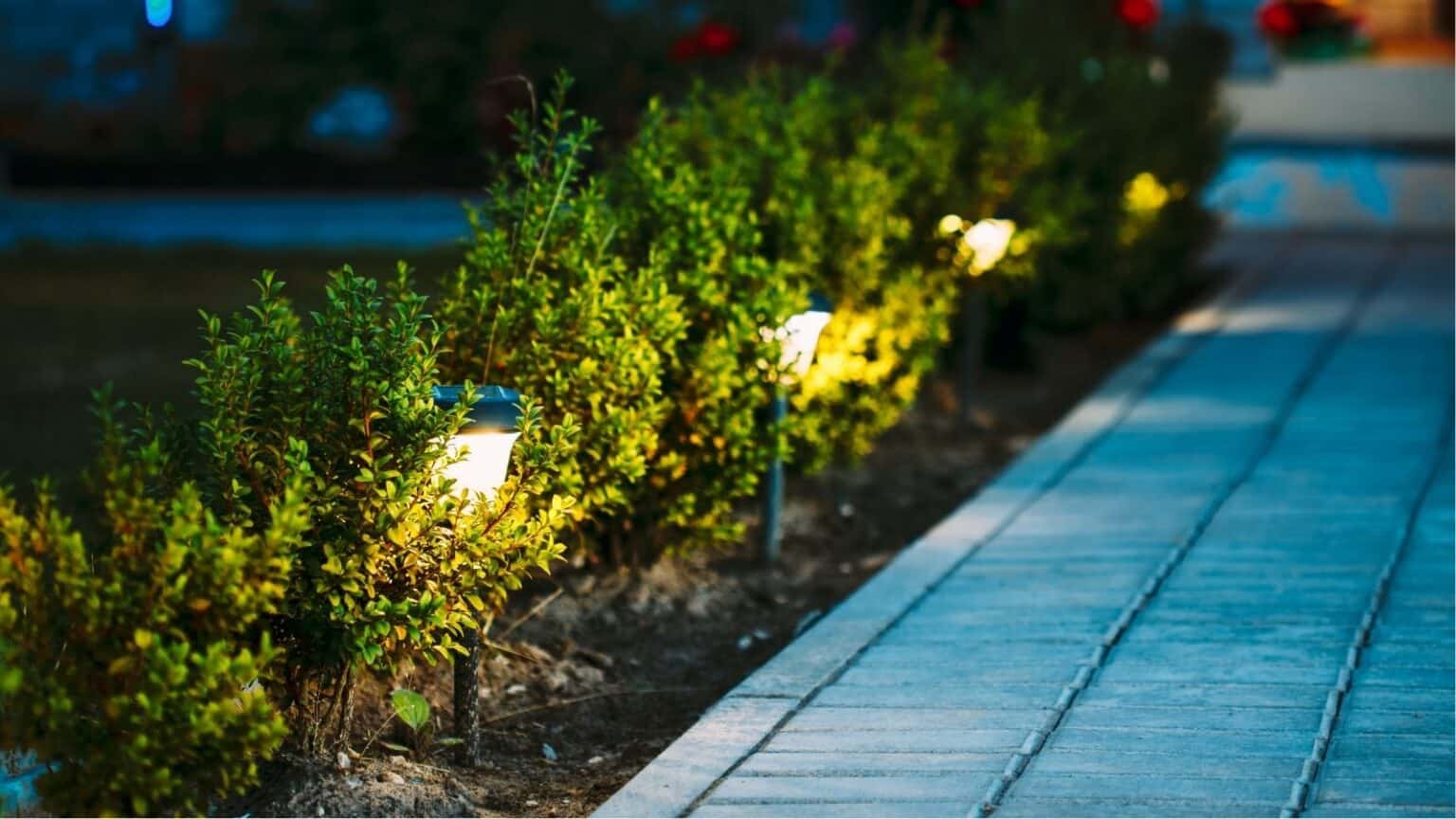10 Simple DIY Projects for a Greener Home • Schisandra & Bergamot