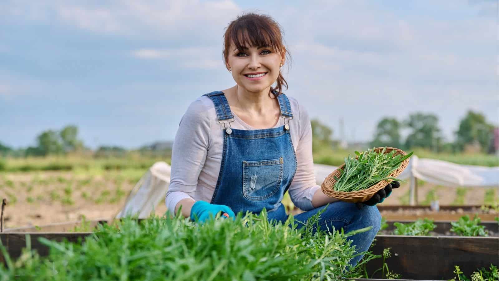 Enjoy Fresh Greens Year-Round with These 11 Easy Crops • Schisandra ...