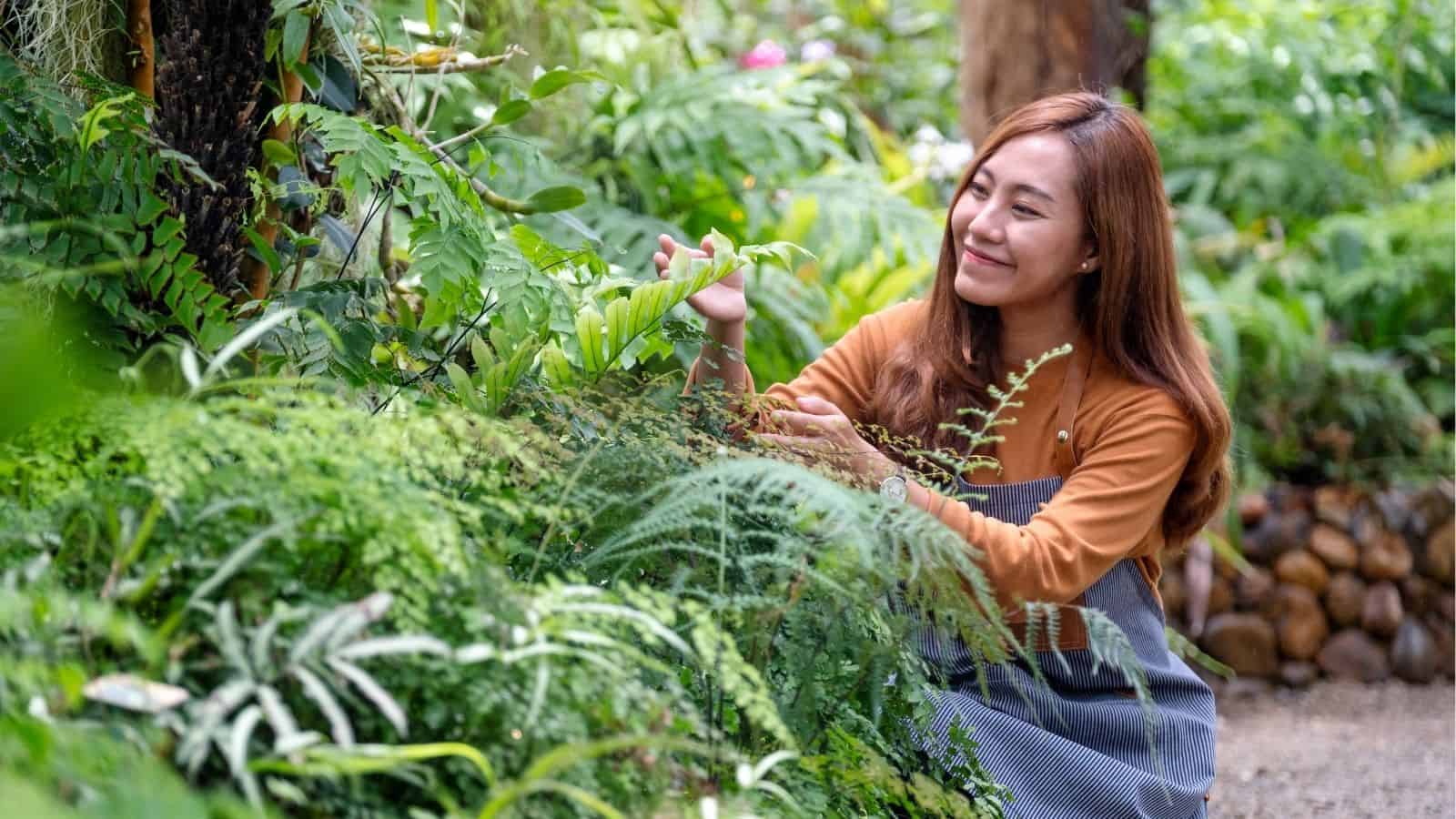 13 Perennials That Multiply Like Crazy (And How to Use Them ...