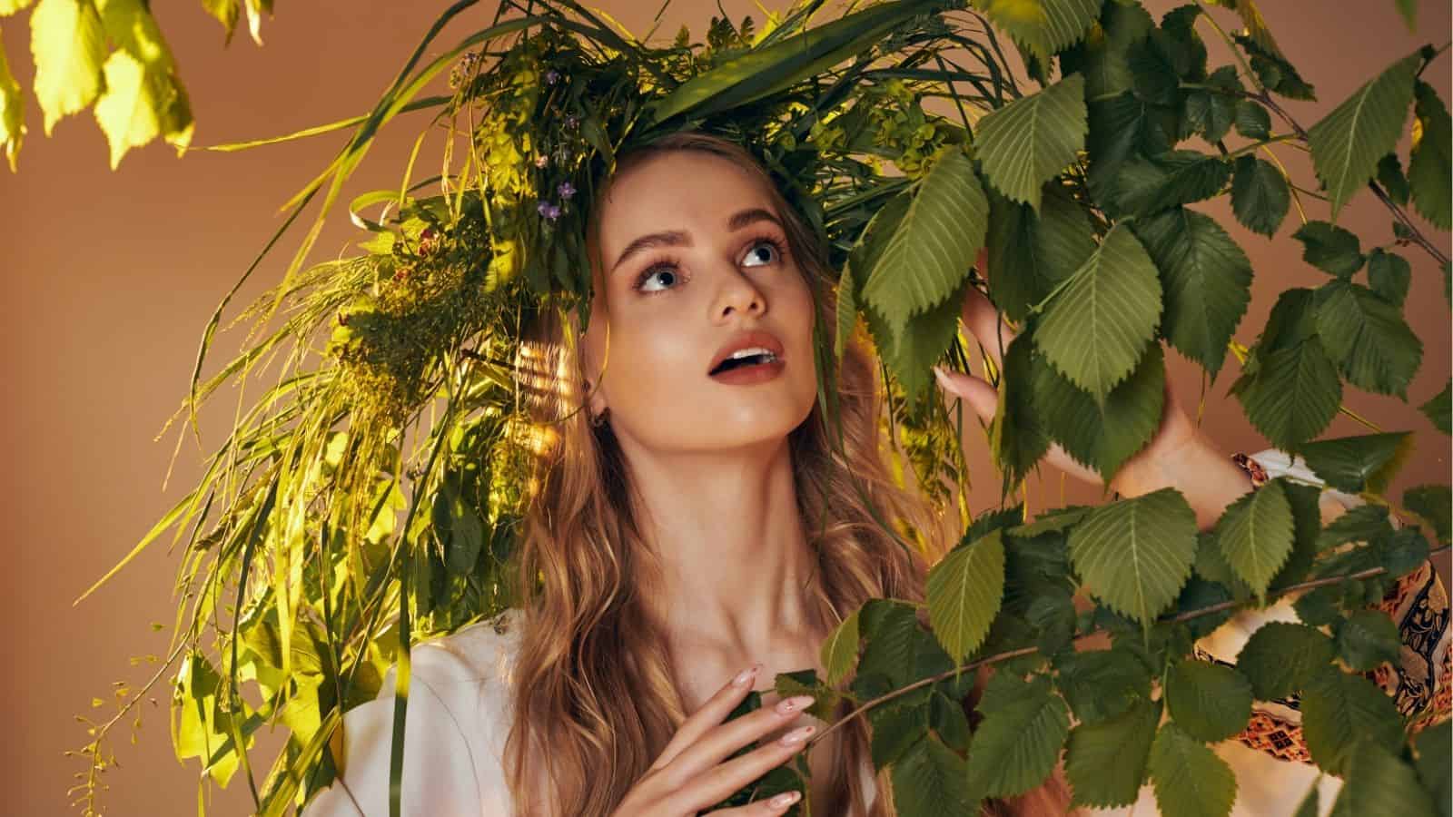 11 Plants That Stay Green All Year Long • Schisandra & Bergamot