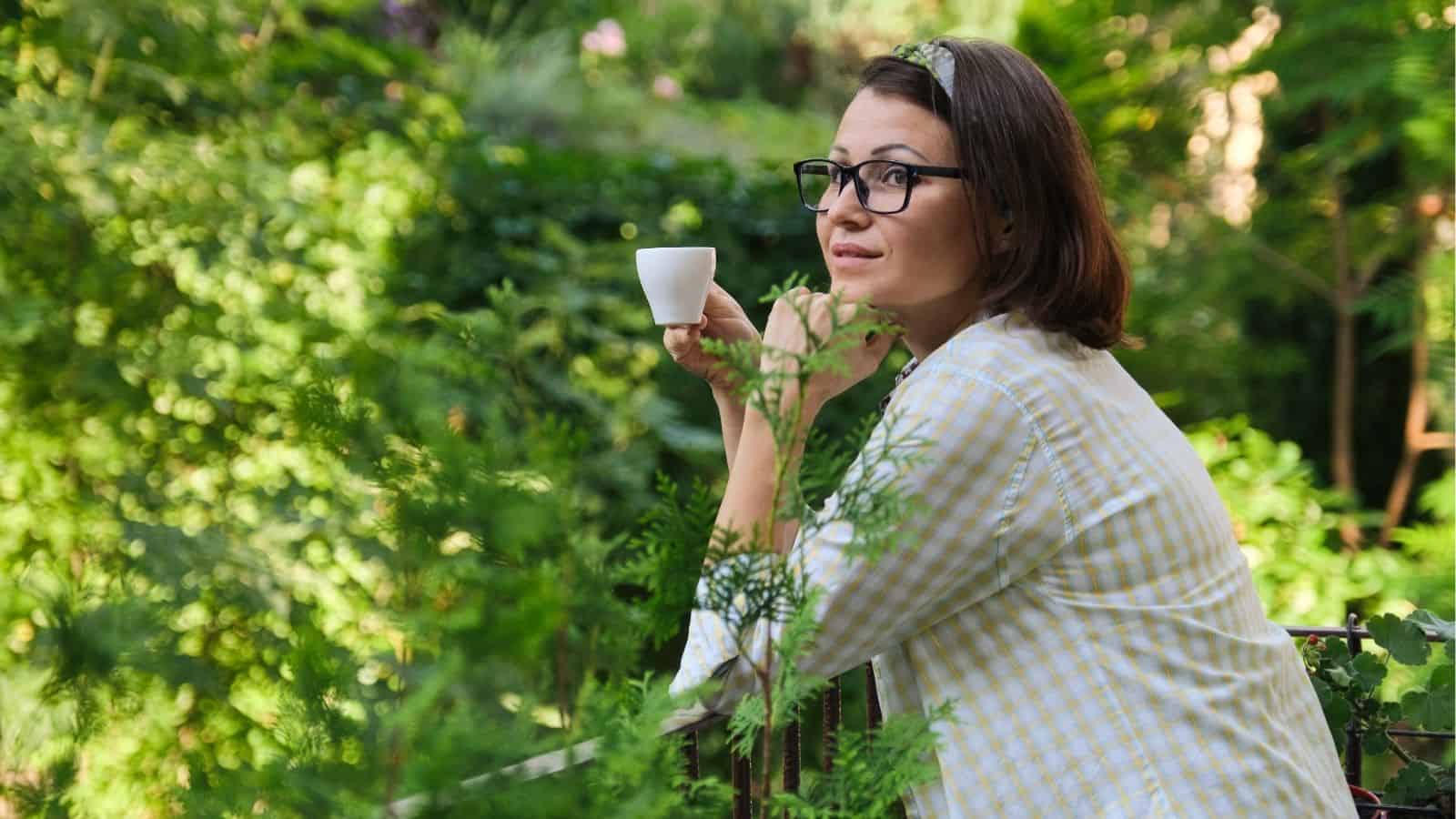 Build a Tranquil Garden With These 12 Soothing Plants • Schisandra ...
