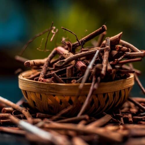 What Is Madder Root? Lore and How to Use It as a Natural Dye