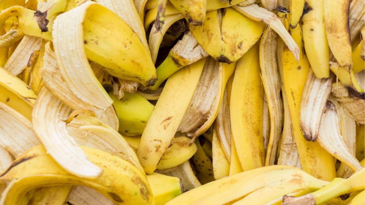 9 Organic Fertilizers That Help Garden Flowers Bloom Brighter ...