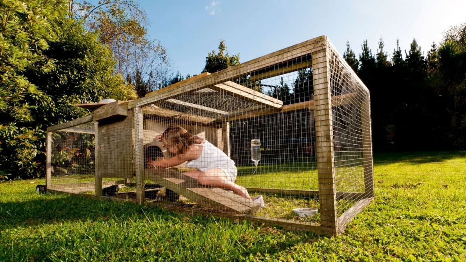 11 Beginner Homesteading Projects You Can Start This Weekend ...