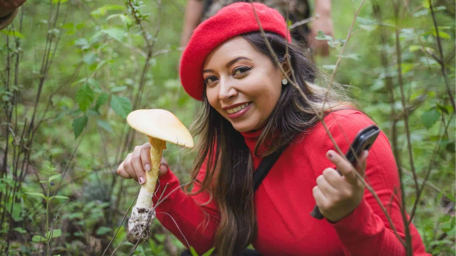 These 9 Mushrooms Are Safe, Delicious — and Easy to Spot • Schisandra ...
