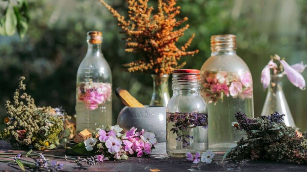 13 Things You Can Make With Herbs Growing Right Outside • Schisandra ...