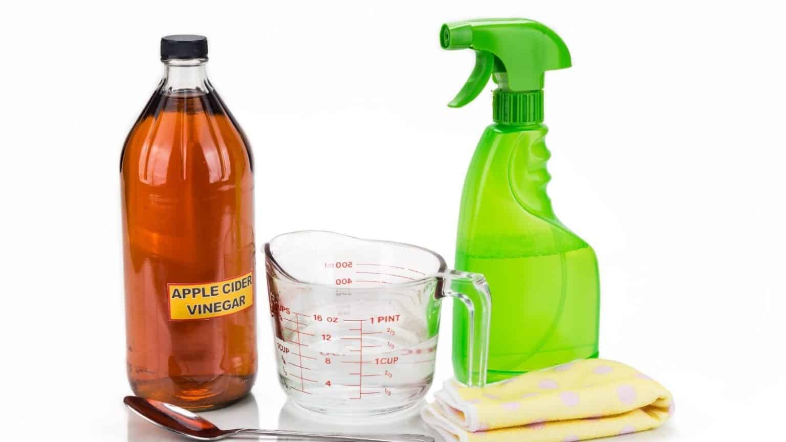 15 Ways to Make Your Home Smell Fresh Without Chemicals • Schisandra ...