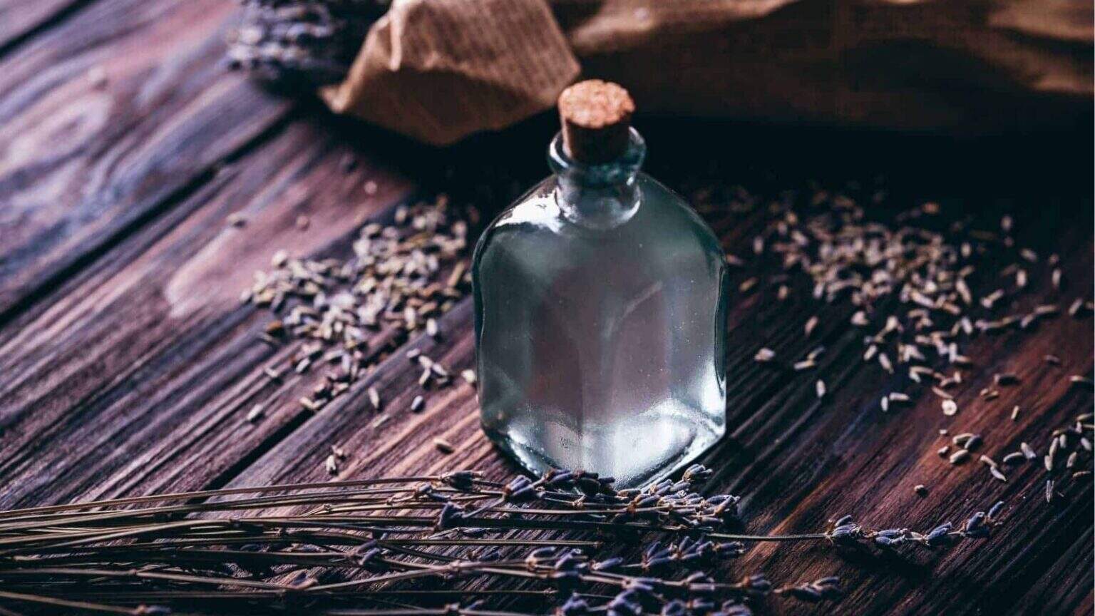 11 Things You Can Make With Fresh Lavender • Schisandra & Bergamot