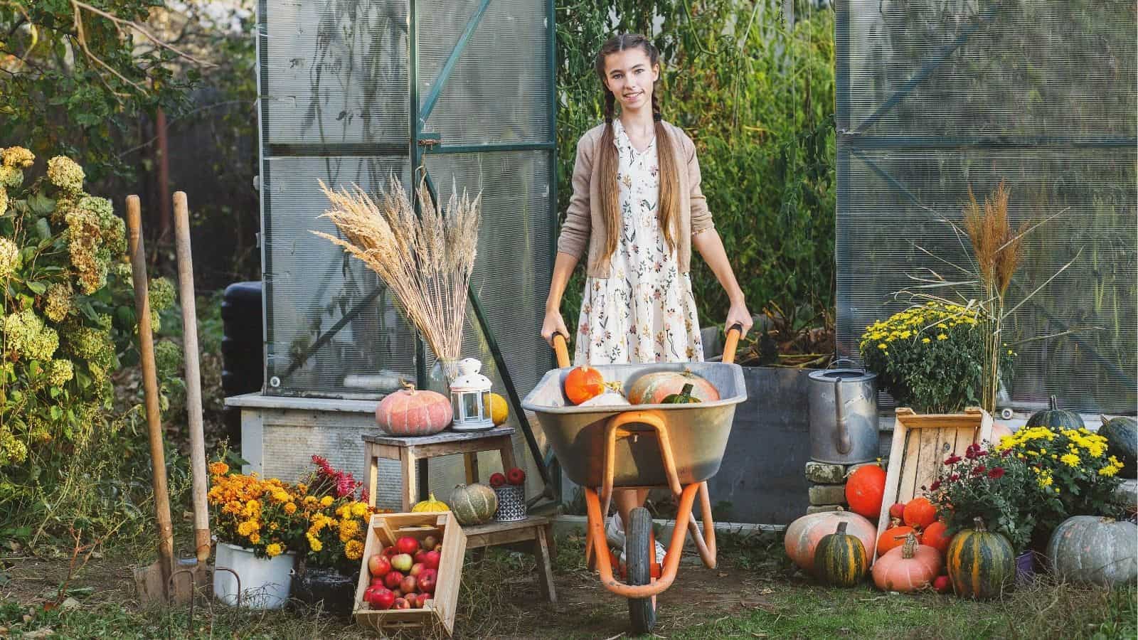 Transform Your Yard Into a Fall Haven With These Eco-Friendly Tips ...
