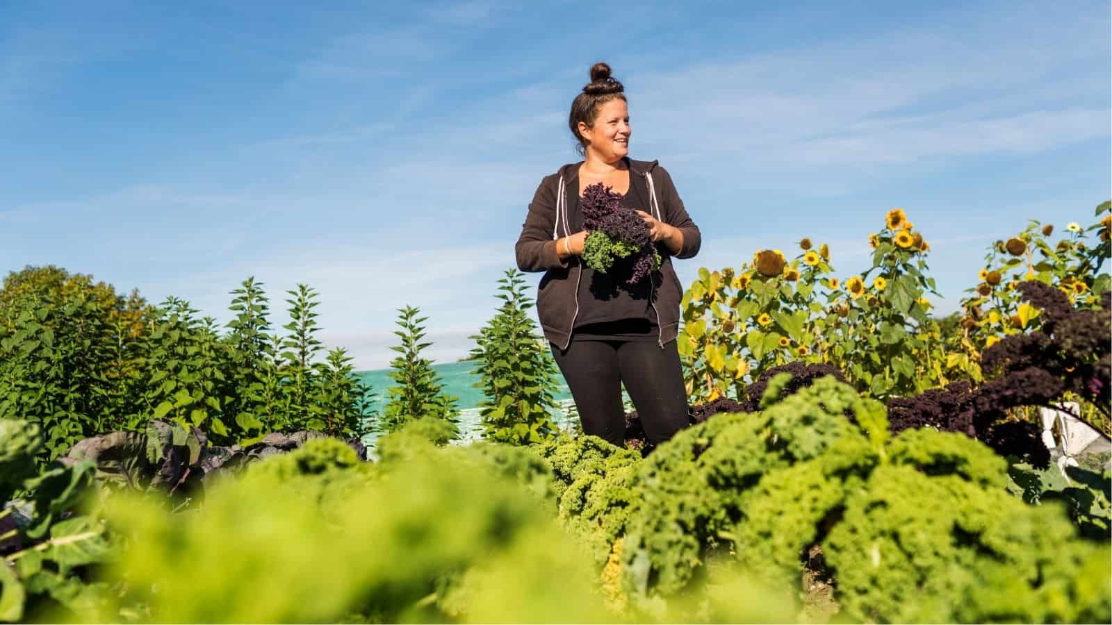 9 Fall Crops That Thrive After the Summer Heat • Schisandra & Bergamot