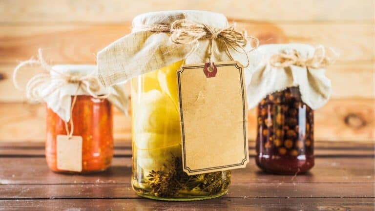 10 Must-Know Food Preservation Tips Every Beginner Should Try ...