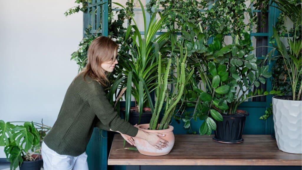 I Tried Growing Herbs Indoors and These Tips Actually Worked ...