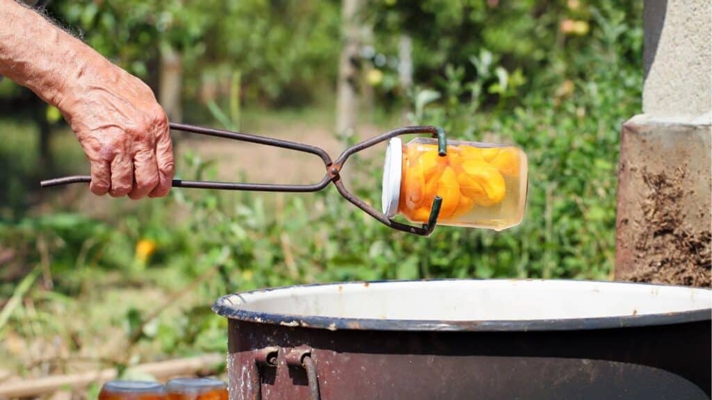 10 Must-Know Food Preservation Tips Every Beginner Should Try ...