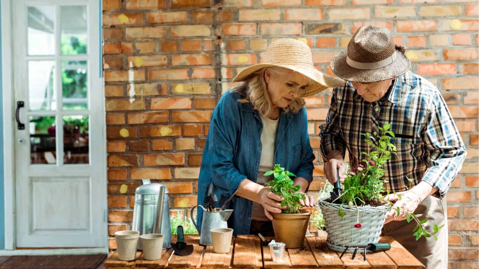 10 Smart Planting Hacks I Use Every Single Season • Schisandra & Bergamot