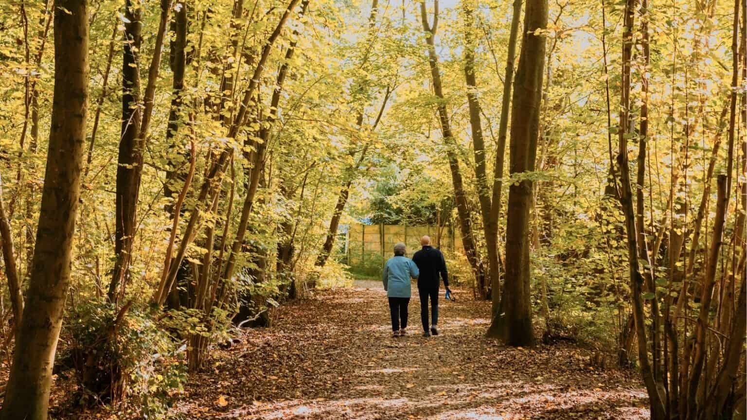 15 slow living ideas that don’t require buying anything new ...