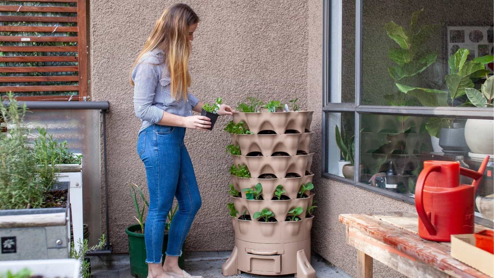 10 Cold-Hardy Herbs I Keep in My Garden All Winter • Schisandra & Bergamot