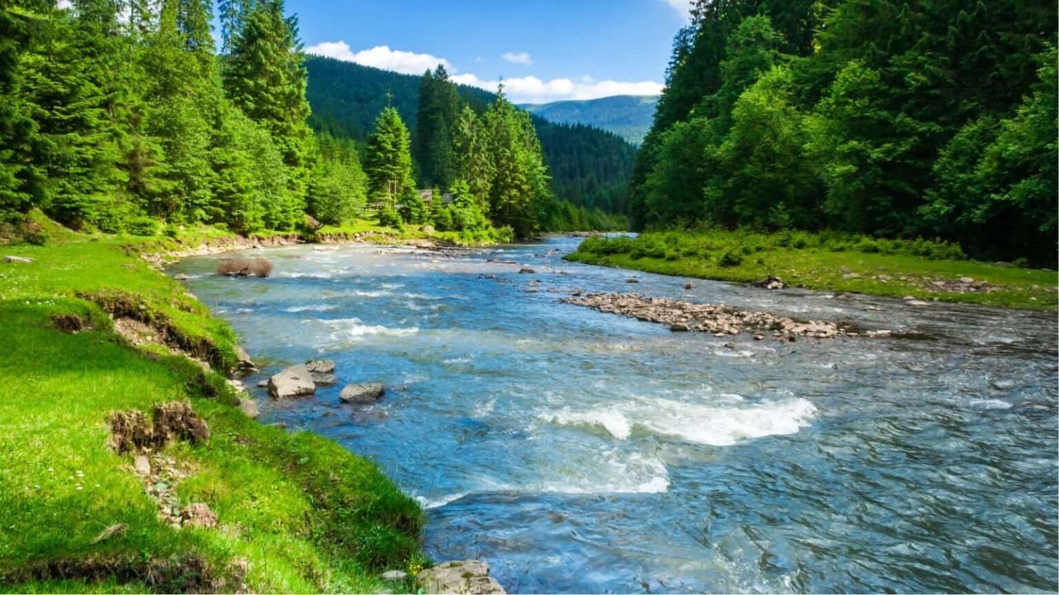 15 old-world nature myths that still spark wonder today • Schisandra ...