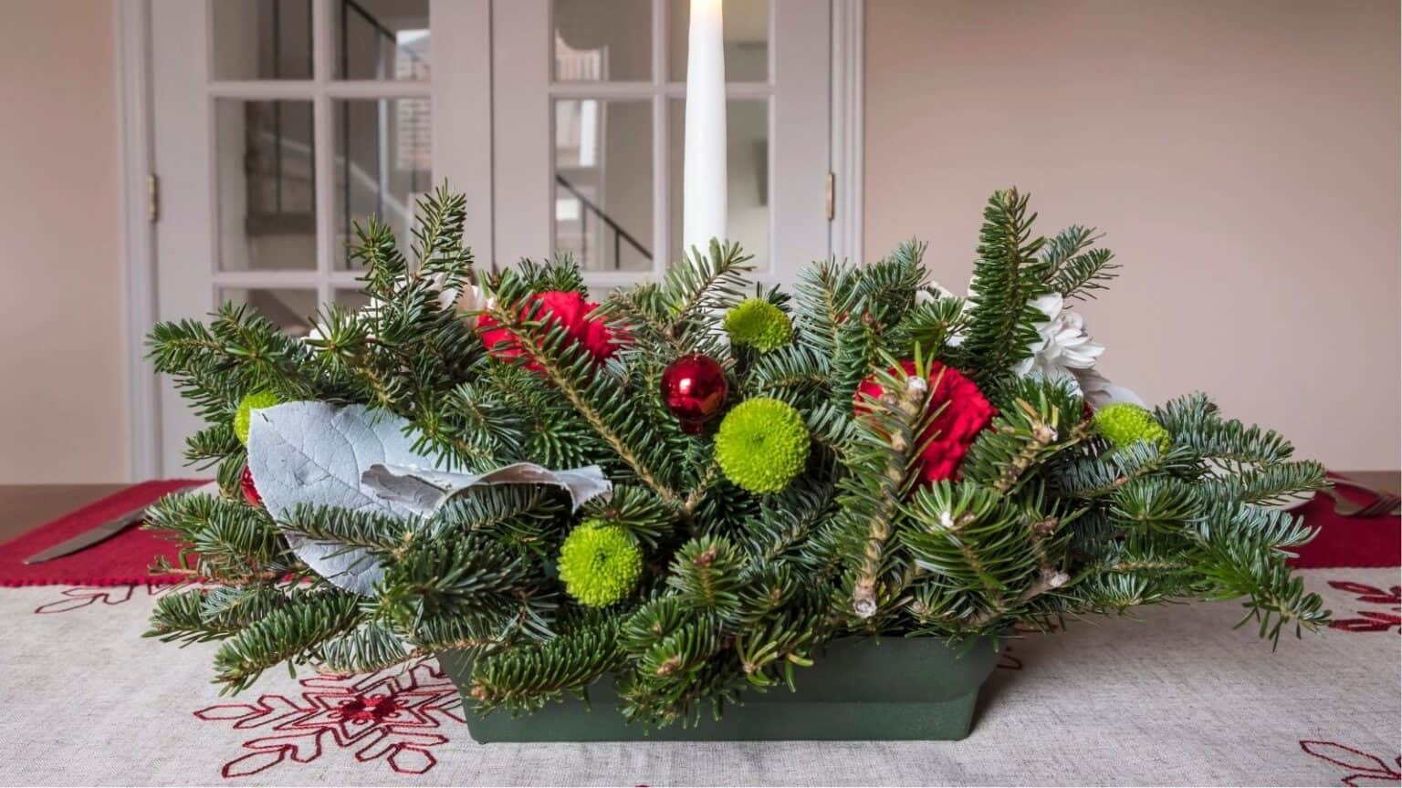 15 winter folklore traditions tied to plants and the land • Schisandra ...