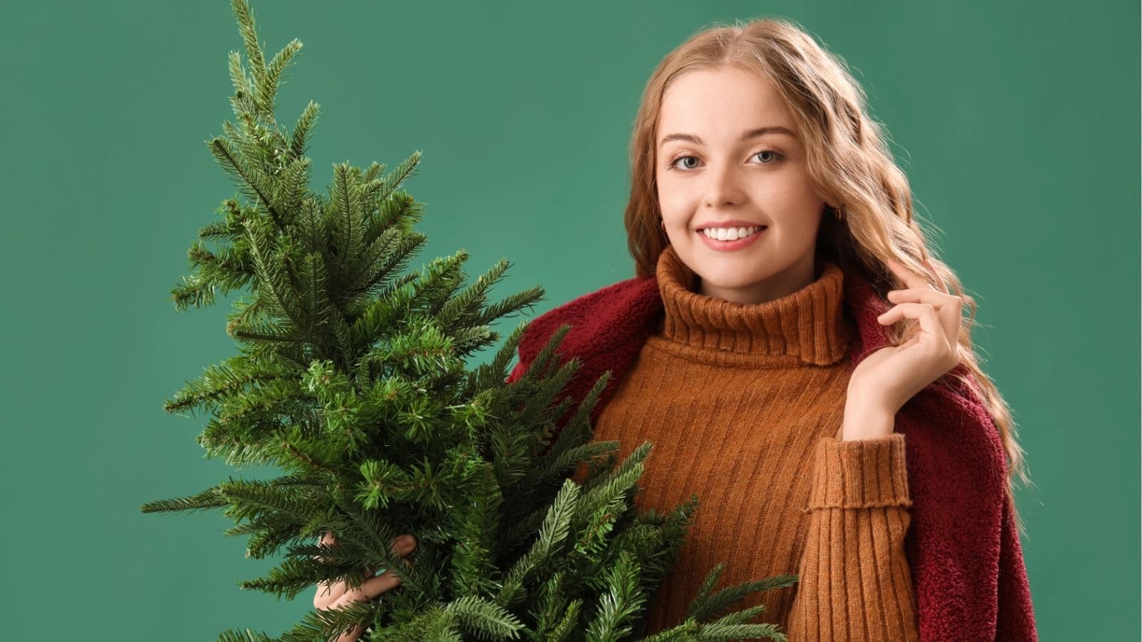 15 fragrant evergreens to use in natural seasonal décor • Schisandra ...